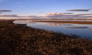 Russia Says Pollution in Arctic Tundra is Not Above Limit - Modern ...