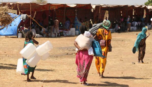 Survival in the Tigray War: Resilience and Challenges Faced by ...