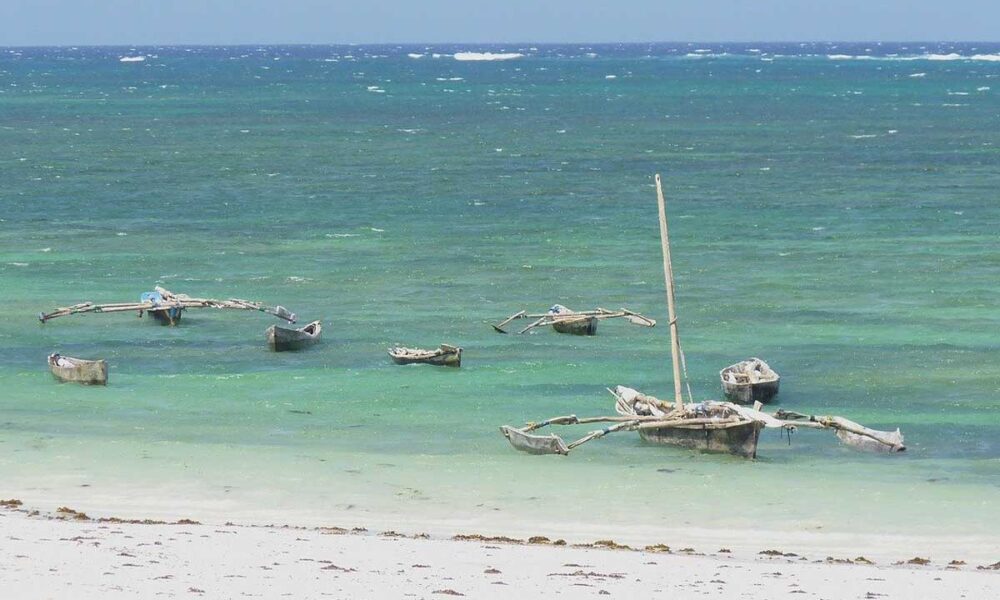 New programme to support Kenya’s coast and blue economy - Modern Diplomacy