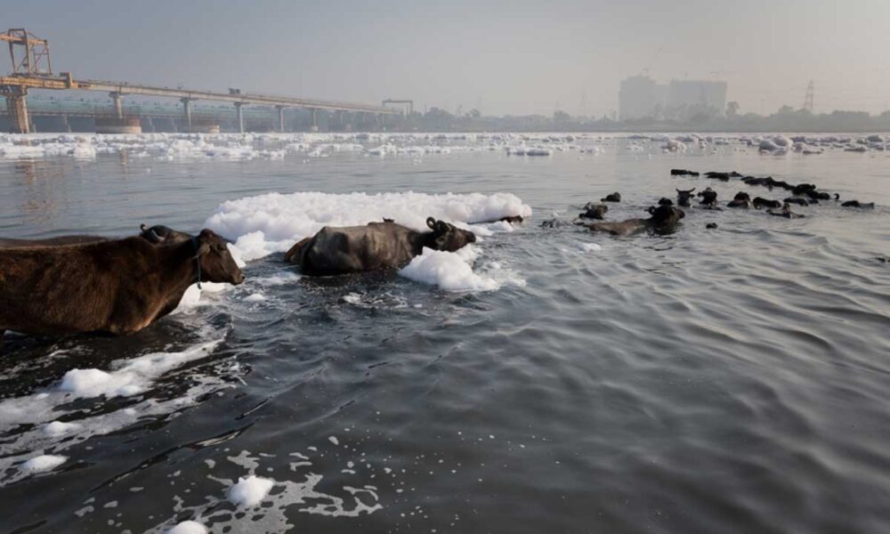 How to reduce pollution in Delhi’s waterways - Modern Diplomacy
