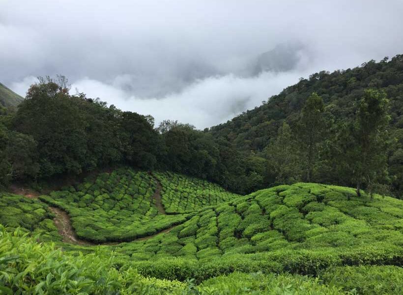 With mouth-watering foods, mountain farms in Europe seek climate ...