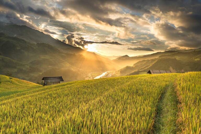 Sustainability and Progress of the Food Estate Program in Indonesia: A ...